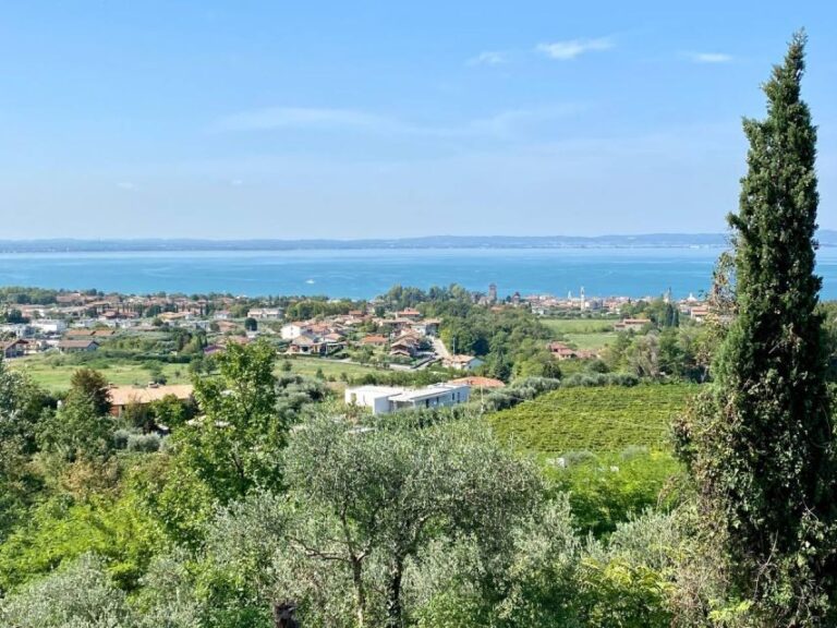 Lazise: Countryside e-Bike Tour with Wine Tasting - Why This Tour Matters for Travelers