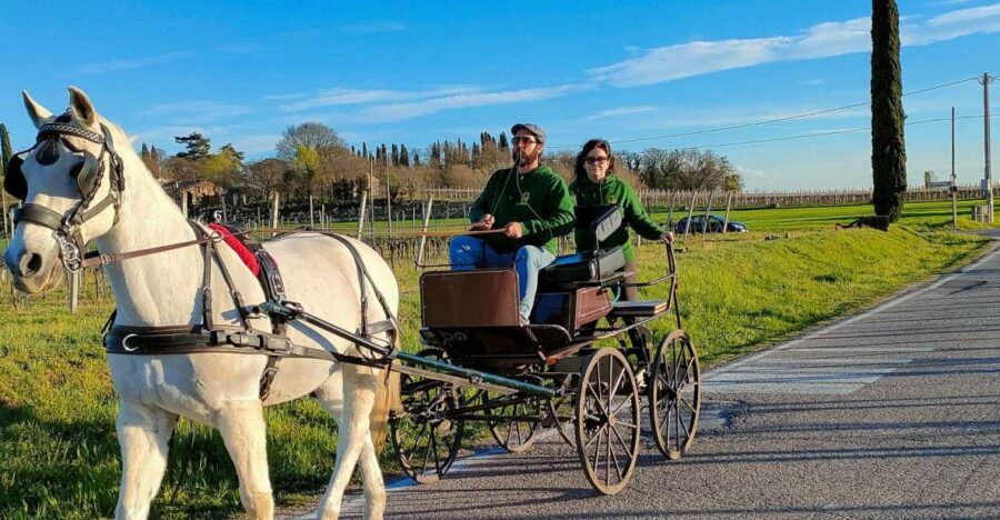 Lazise: horse carriage tour with tasting of local products - Visiting the Family-Run Beekeeping Farm
