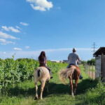 Lazise: Horseback Riding and Farm Picnic local food - The Itinerary – A Closer Look