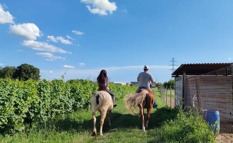 Lazise: Horseback Riding and Farm Picnic local food - The Itinerary – A Closer Look