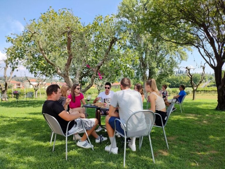 Lazise: Wine Tasting with Charcuterie and Cheese Board - In-Depth Breakdown of the Tour