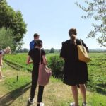 Lazise: Winery Tour with Garda Wines and Food Tasting - An In-Depth Look at the Tour