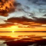 Le Grau du Roi: Half-Day Tour of Camargue - Why This Tour Is Worth Considering
