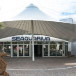 Le Grau-du-Roi: Seaquarium Skip-the-Line Entrance Ticket - The Practical Side: Tips for Visiting