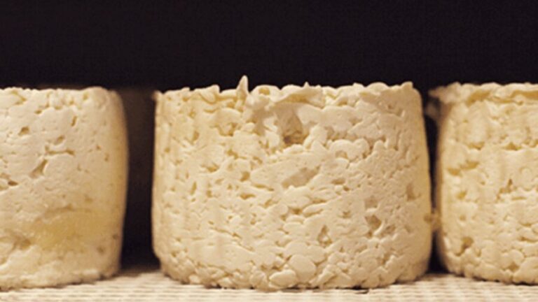 Le Mans gourmet food walking tour Discover Sarthe's flavors - What the Tour Includes & Practical Aspects
