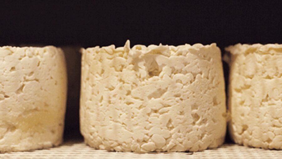 Le Mans gourmet food walking tour Discover Sarthe's flavors - What the Tour Includes & Practical Aspects