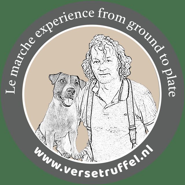 Le Marche: Truffle Hunt with Lunch or Dinner - Discover the Charm of the Le Marche Truffle Hunt Experience