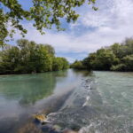 Le Thor and L'isle Sur La Sorgue: Electric bike tours - Highlights: What Makes This Tour Special?