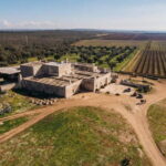 Lecce: Taranto and Manduria Winery Tour with Wine Tasting - Why This Tour Stands Out