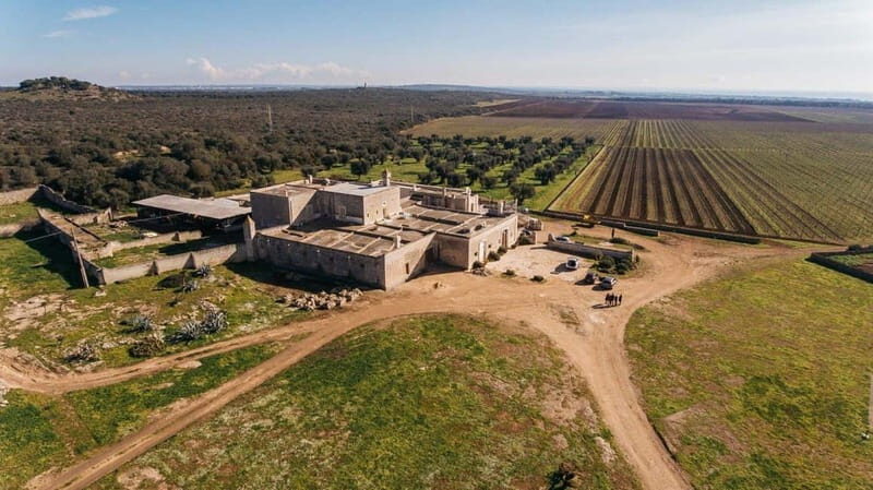 Lecce: Taranto and Manduria Winery Tour with Wine Tasting - Why This Tour Stands Out
