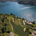 Ledro Lake: Guided Tour & Wine Tasting Among the Vines - The Itinerary — Deep Dive