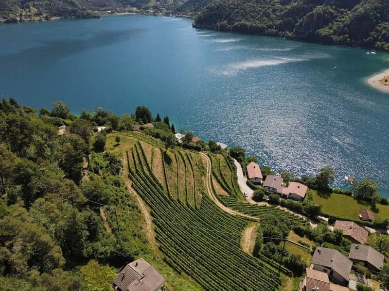 Ledro Lake: Guided Tour & Wine Tasting Among the Vines - The Itinerary — Deep Dive