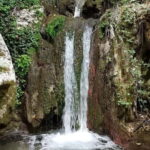 Lefkada: Path of Springs Hike with Olive Oil Tasting - Touring the FABRICA Olive Museum