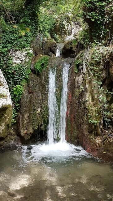 Lefkada: Path of Springs Hike with Olive Oil Tasting - Touring the FABRICA Olive Museum