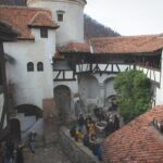 Legends&Wildlife Awaits: Dracula's Castle & Bear Sanctuary - What You Can Expect at Each Stop