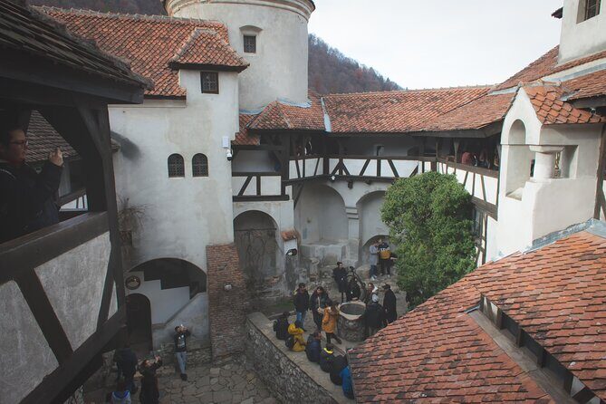 Legends&Wildlife Awaits: Dracula's Castle & Bear Sanctuary - What You Can Expect at Each Stop