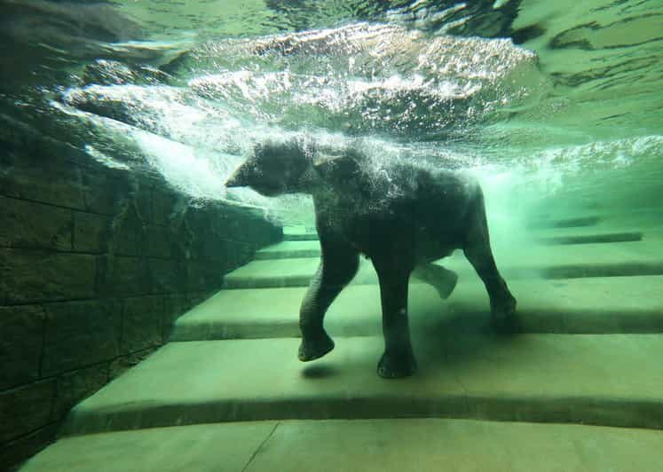 Leipzig Zoo: Entry Ticket - A Tour of the Six Themed Worlds