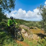 Leiria E-bike and Castel tour - Detailed Journey Through Leiria’s Heritage and Nature