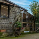 Lemò Restaurant - What You Can Expect from Lemò Restaurant