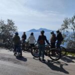 Lemon Nursery & Limoncello: Sorrento E-Bike Tour - Introduction: Your Fun and Flavorful Ride in Sorrento
