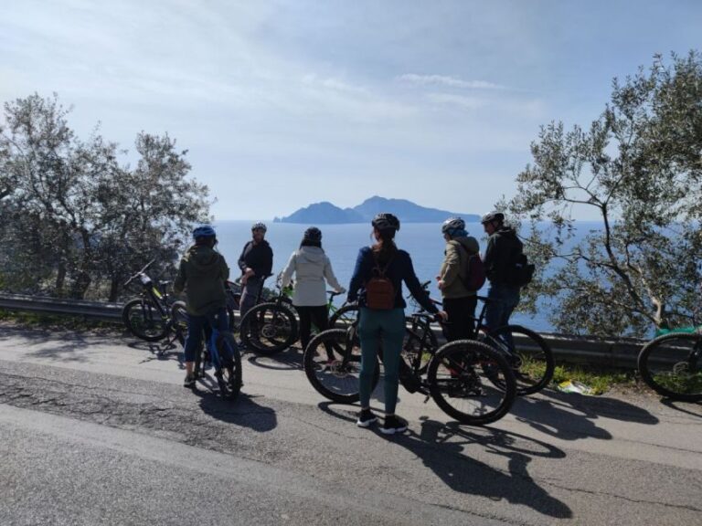 Lemon Nursery & Limoncello: Sorrento E-Bike Tour - Introduction: Your Fun and Flavorful Ride in Sorrento