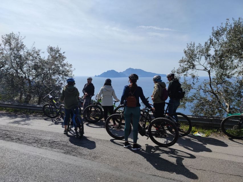 Lemon Nursery & Limoncello: Sorrento E-Bike Tour - Introduction: Your Fun and Flavorful Ride in Sorrento