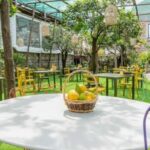Lemon Tour with Lunch/Dinner - Who Should Consider This Tour?