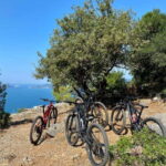 Lerici-Gulf of Poets & its enchanted landscapes: E-Bike Tour - Detailed Breakdown of the Tour Experience