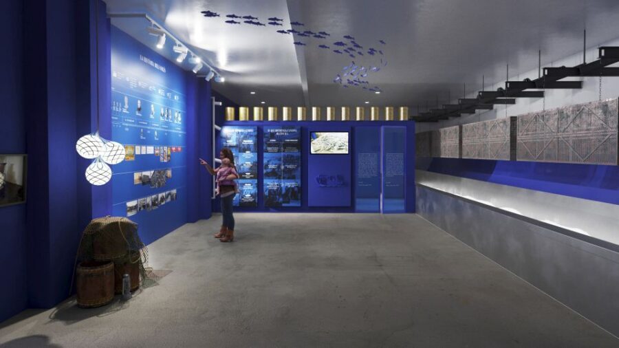 L'Escala: SOLÉS Anchovy Factory-Museum Admission and Tasting - What to Expect During Your Visit