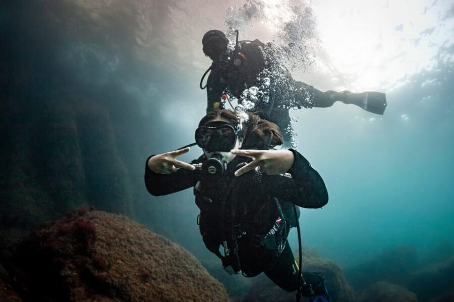 L'Estartit: Dive and Snorkeling in Montgrí Natural Park - What makes this tour special?