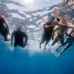 L'Estartit: Medes Islands Cruise with Guided Snorkeling - The Itinerary Breakdown