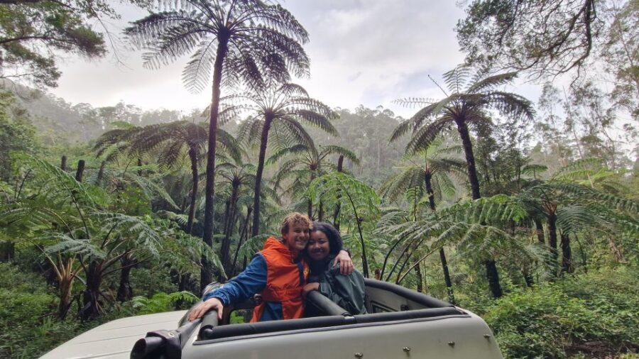 Let-Me-Surprise-You Madeira Full Day Private Tour - Deep Dive into the Itinerary and Destinations