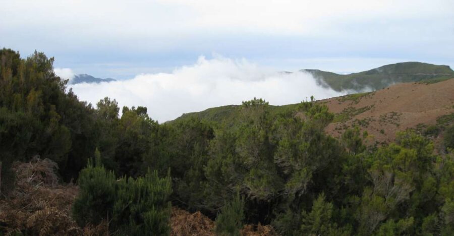 Levada do Alecrim (Madeira Lakes) Full-day walk - Practical Tips for the Best Experience