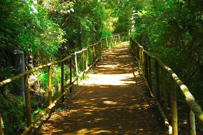 Levada do Caldeirão Verde Levada Walk from Funchal - Key Points