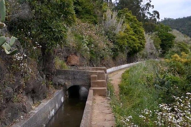 Levada do Norte Quinta Grande Levada walk - Who Would Love This Experience?