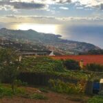 Levada do Norte - Walking Tour - The Value of a Guided Experience