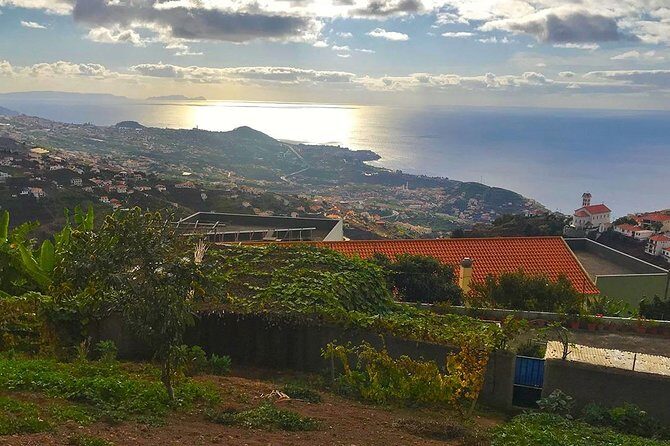 Levada do Norte - Walking Tour - The Value of a Guided Experience