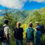 Levada do Rei (PR18) - Through Madeira's Majestic Laurissilva - Transportation, Group Size, and Value