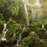 Levada Walk and Caldeirao Verde Waterfalls: Madeira - Overview of the Tour