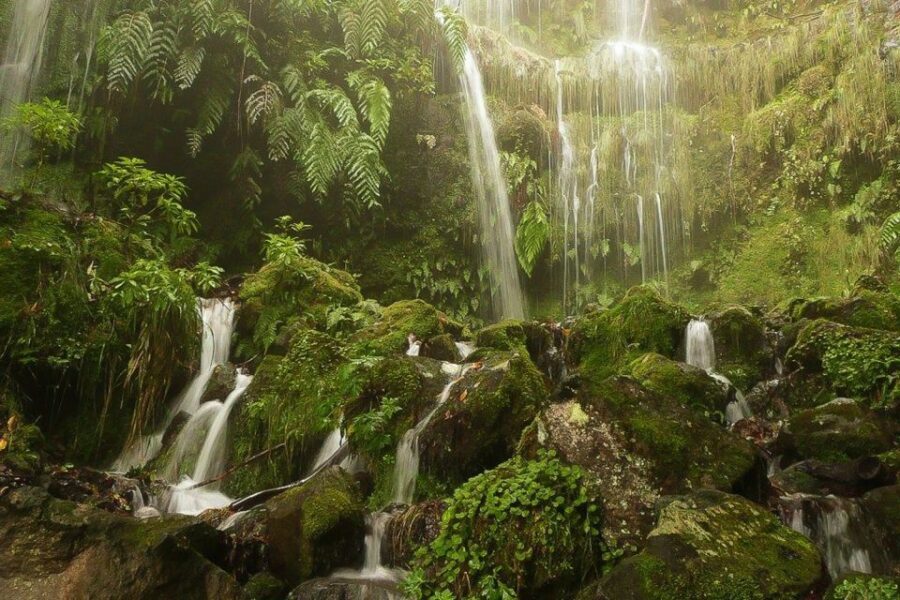 Levada Walk and Caldeirao Verde Waterfalls: Madeira - Overview of the Tour