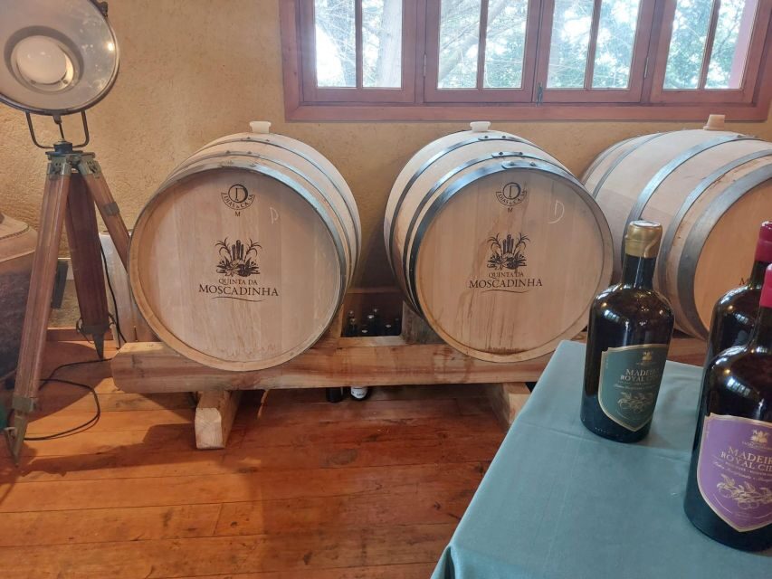 Levada Walk, Cider Tasting & Lunch - The Itinerary: A Closer Look