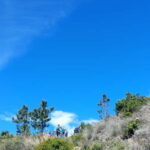 Levanto: Hiking Tour with Creative Workshop! - Who Will Love This Experience?