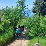 Levanto to Bonassola Hiking Tour: Nature & Wonderful Views - The Practical Side: What You Need to Know