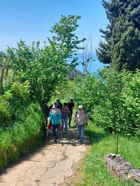 Levanto to Bonassola Hiking Tour: Nature & Wonderful Views - The Practical Side: What You Need to Know