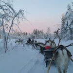 Levi: 3km Reindeer Sleigh Ride in the forest at night - The Itinerary in Detail