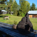 Levi: Canoeing Adventure with Reindeer Farm Visit - What to Expect on the Canoeing Day Trip