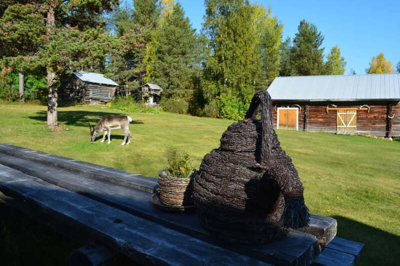 Levi: Canoeing Adventure with Reindeer Farm Visit - What to Expect on the Canoeing Day Trip