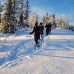Levi: Easy Snowshoeing - Why Choose This Tour?