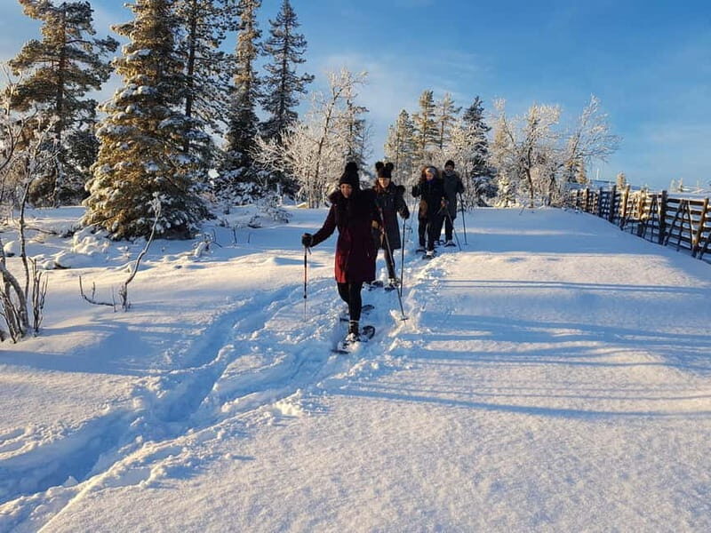 Levi: Easy Snowshoeing - Why Choose This Tour?