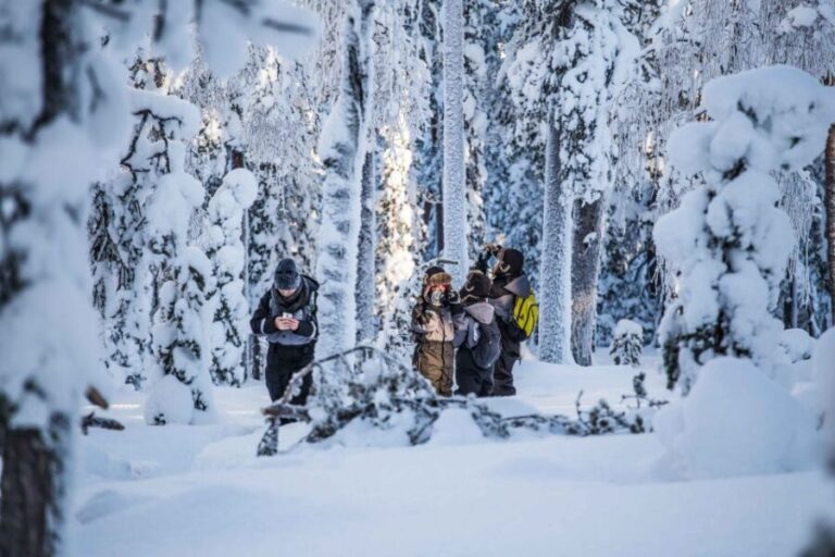 Levi: Explore the Wilderness - What Makes This Tour Stand Out?